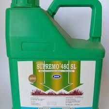 Herbisida Sistemik/Racun Rumput Supremo 480 Sl Kemasan 4 Liter - TRUBUS ...